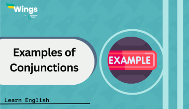 11+ Antonyms of Transient, Meaning and Examples