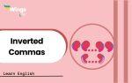 Inverted Commas: Uses with Examples | Leverage Edu