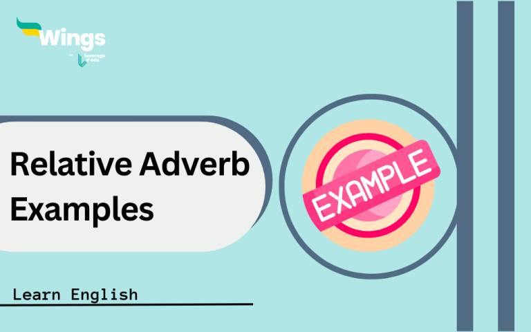 20+ Relative Adverb Examples with Meaning