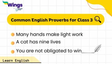 Pronoun Worksheet for Class 8 with Answers: Download Free PDF