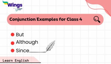31+ Best Phrases for Paragraph Writing in English | Leverage Edu