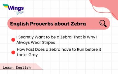 11+ English Proverbs about Zebra with Meaning | Leverage Edu