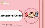 What is Noun for Provide: Meanings, Synonyms, & Examples | Leverage Edu