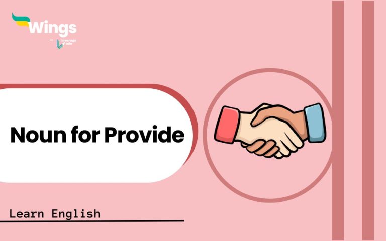 What is Noun for Provide: Meanings, Synonyms, & Examples | Leverage Edu