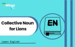 Collective Noun for Lions: Meaning, Synonyms, and Examples | Leverage Edu