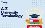 University Terminology: Terms Related to Universities that you should ...